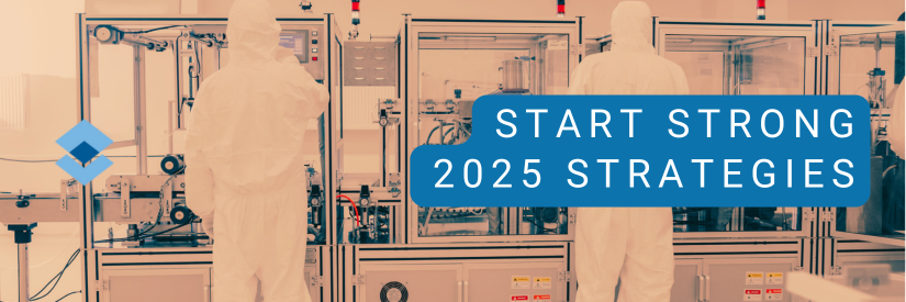 Strategic Business Development: Start Strong in 2025 | Blog | Protel ...